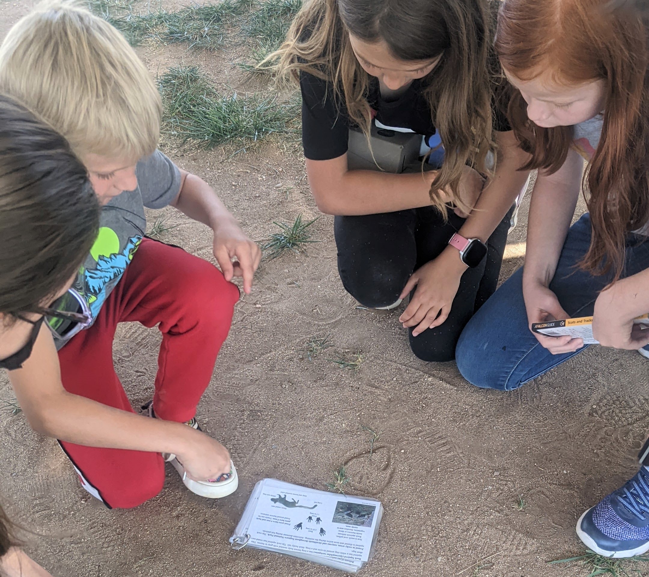Connect Students With Outdoor STEM Learning Opportunities Alongside Science Professionals | NSTA